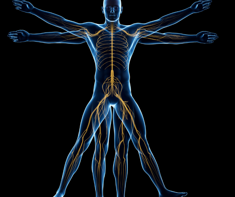 The Art of Nerve Flossing: Understanding and Implementing this ...