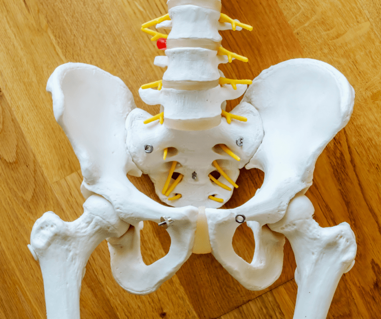 Understanding Anterior Pelvic Tilt: Causes, Symptoms, and Osteopathic ...