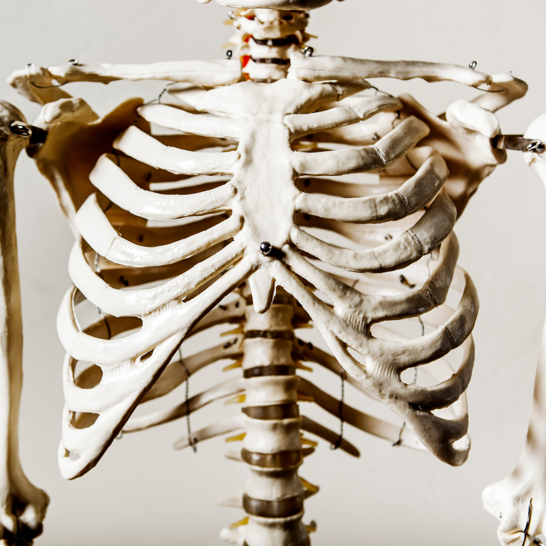 Understanding Costochondritis: Causes, Symptoms, Treatment, and the ...