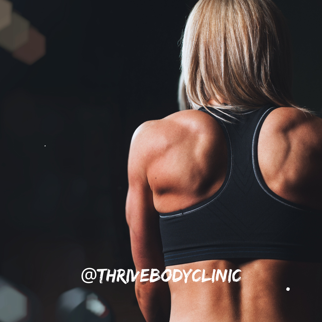 Exploring the Teres Major and Minor Muscles: Anatomy, Function, and ...