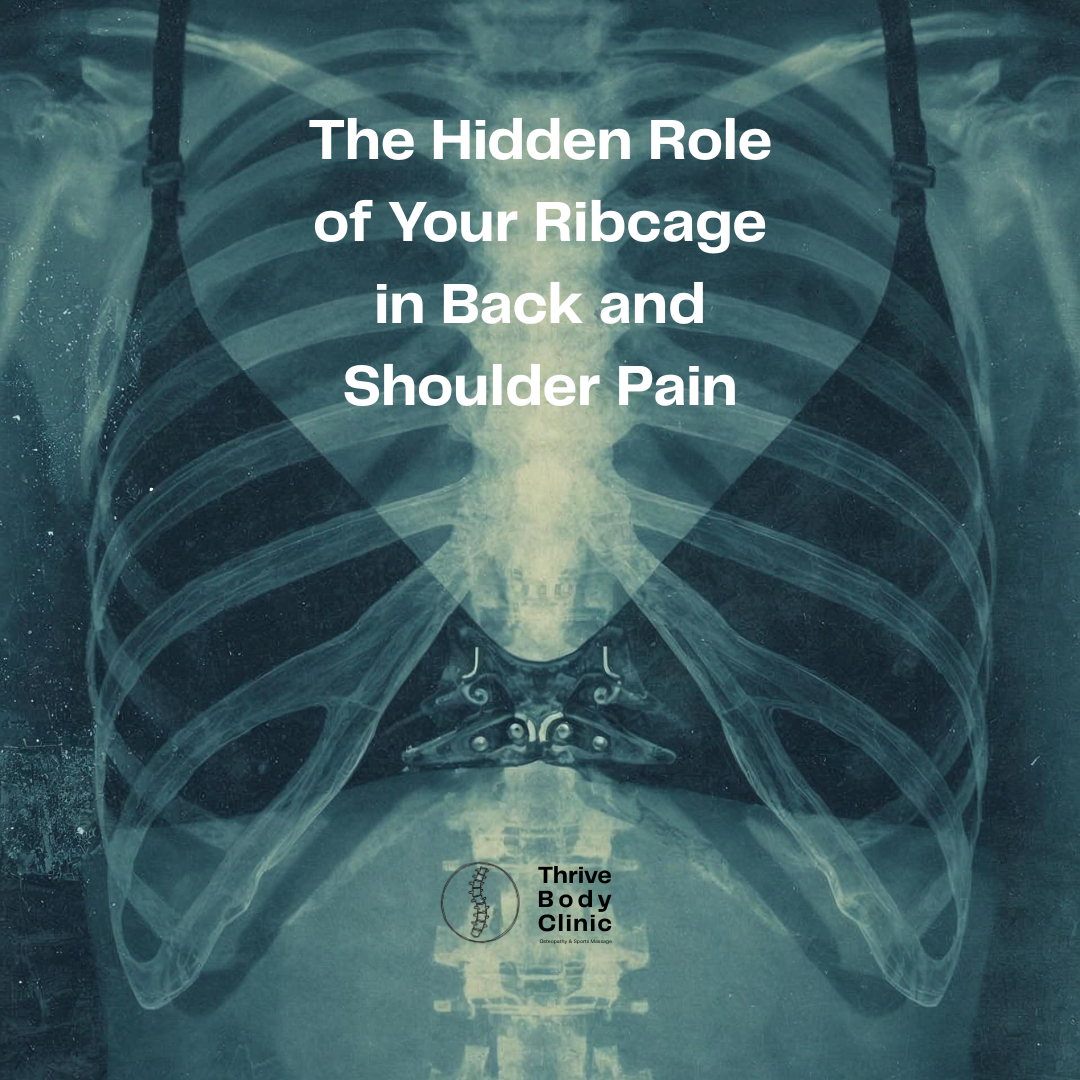 The Hidden Role of Your Ribcage in Back and Shoulder Pain – Thrive Body ...